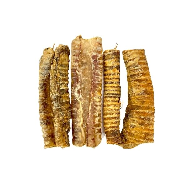 Beef Gullet "Beef Trachea" - Sash & Pepps