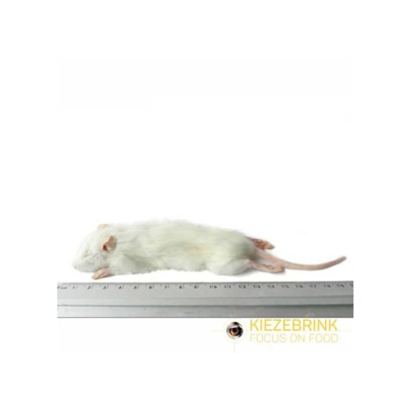 Kiezebrink Frozen Weaner Rats (5 Pack) - Sash & Pepps